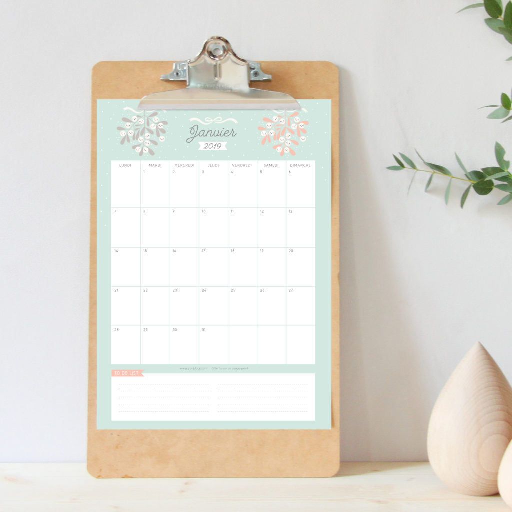 LE CALENDRIER DIY – JANVIER 2019 – Zü – le Blog