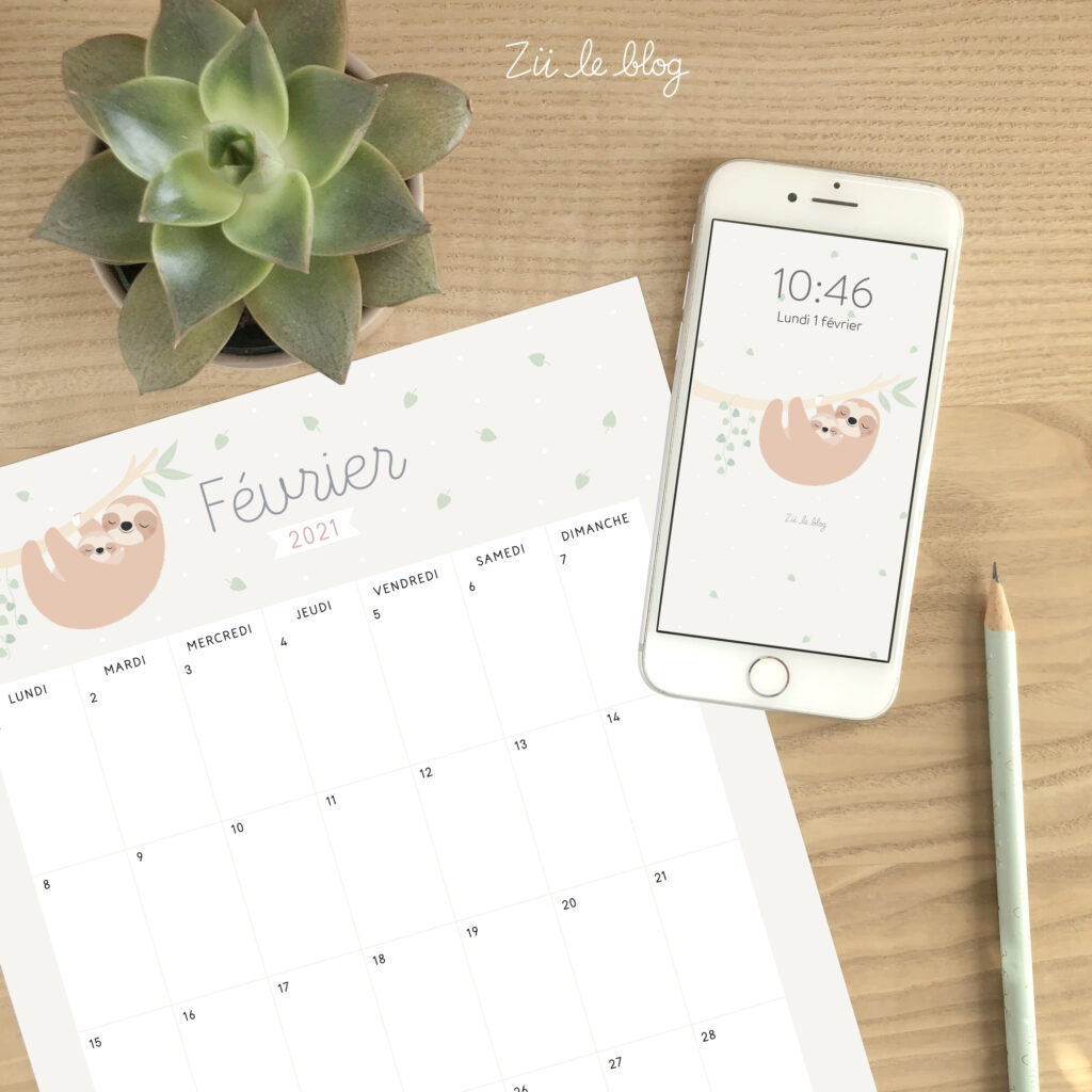 Le calendrier DIY – Février 2021 – Zü – le Blog